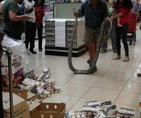 Customer Finds 4 Metre Snake in Spar Supermarket Fridge (video) – Face ...