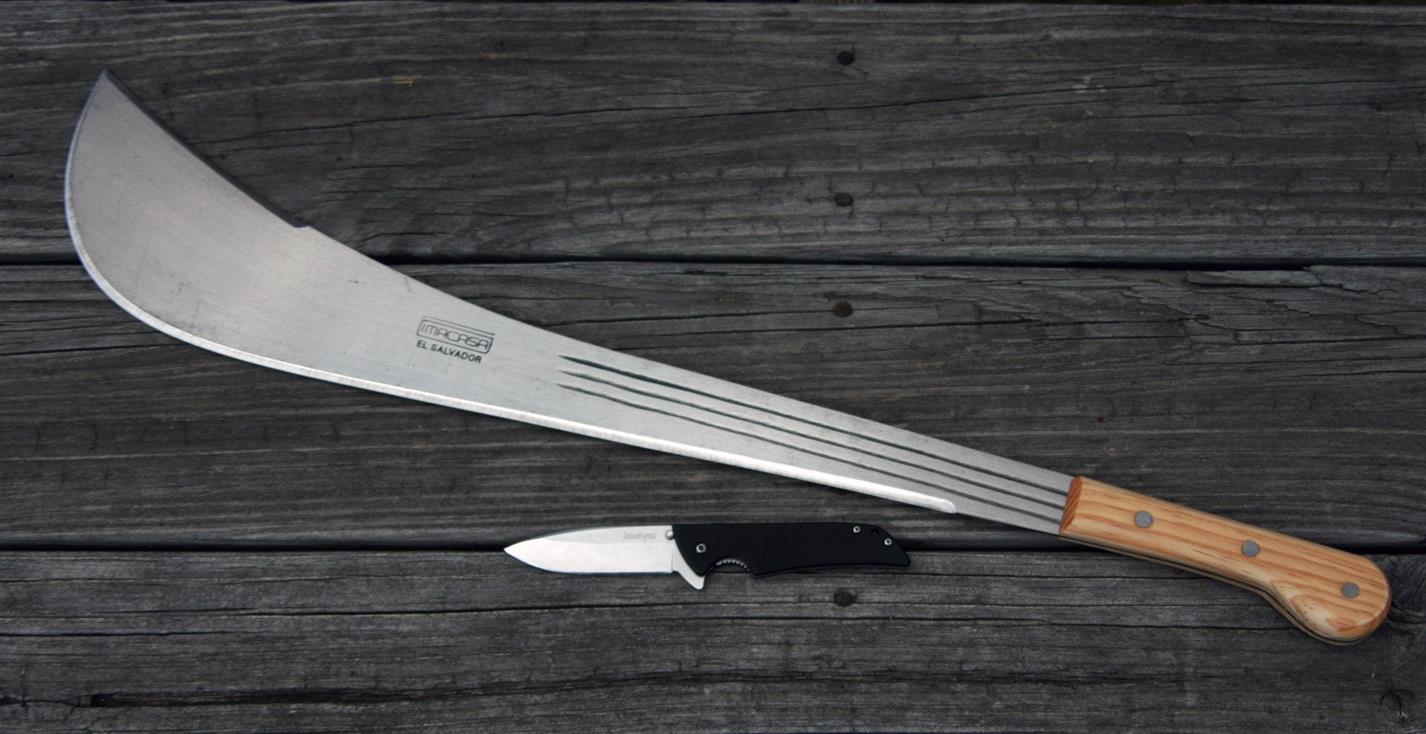 13-year-old boy to be tried after allegedly shooting dead 9-year-old ...