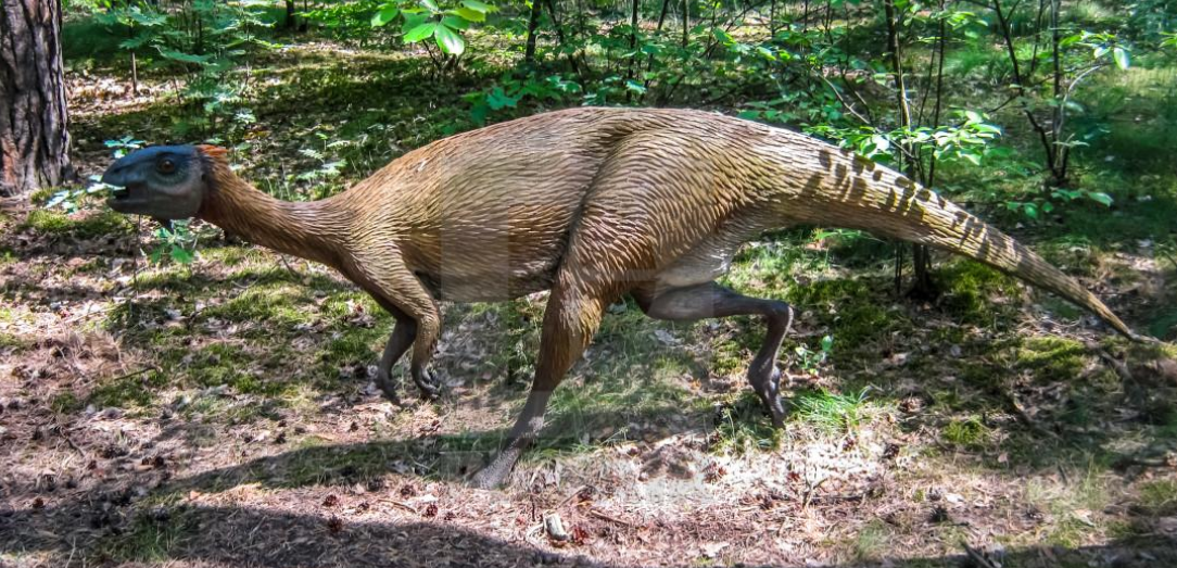 Africa’s oldest known long-necked dinosaur – Face of Malawi