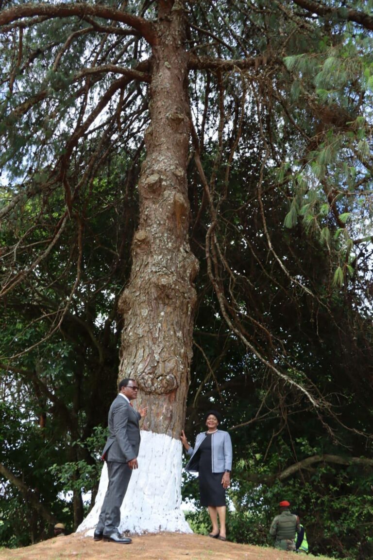 Chakwera visits Kamuzu Tree in Chikangawa Forest – Face of Malawi